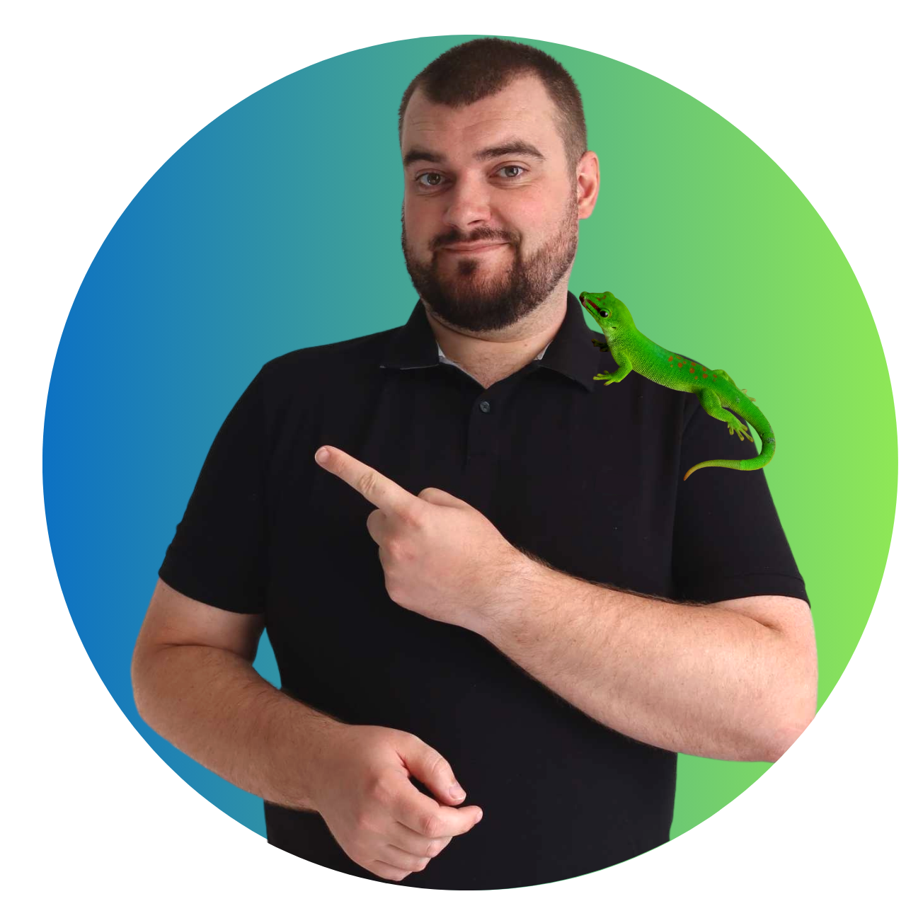 Kurs SQL Master - GeekONedu